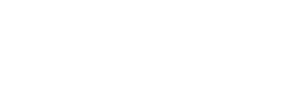 AUTO SERVICE (JASCO) - JAMEECO WEYN GROUP L.L.C